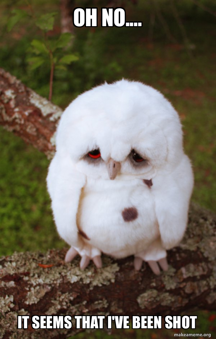 oh no.... it seems that i've been shot - Sad Owl Meme Generator