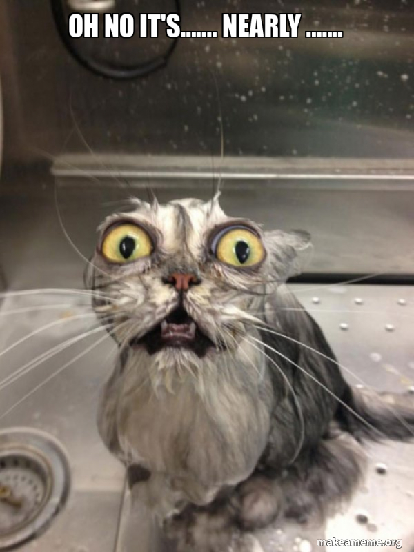 Oh no it's....... nearly ....... - Cat bath Meme Generator
