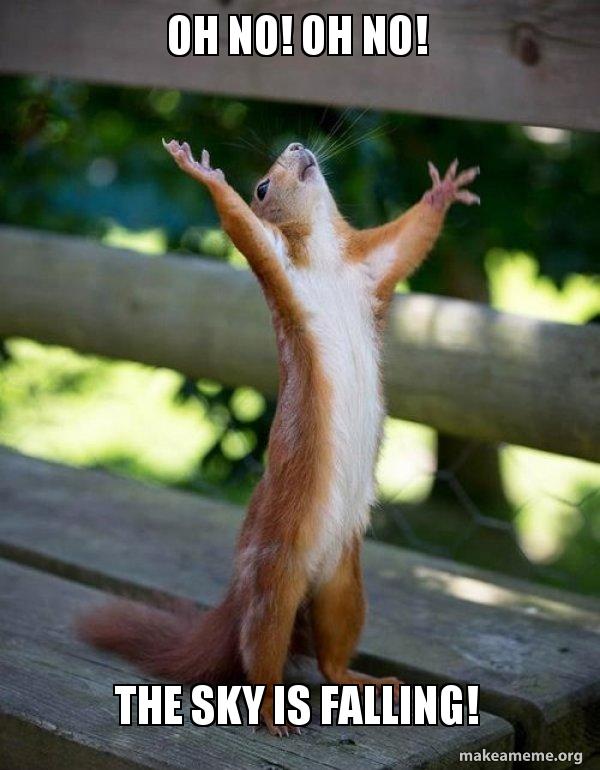 oh no! oh no! THE SKY IS FALLING! - Happy Squirrel Meme Generator