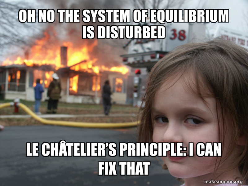Oh no the system of equilibrium is disturbed Le Châtelier’s Principle ...
