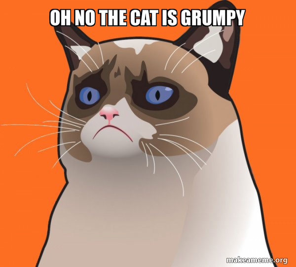 OH NO THE CAT IS GRUMPY - Cartoon Grumpy Cat Meme Generator