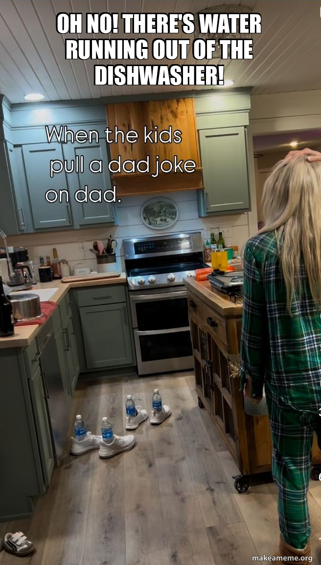 Kitchen Dishwasher Memes