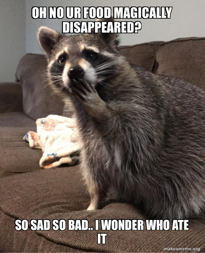 oh no ur food magically disappeared? so sad so bad.. i wonder who ate ...