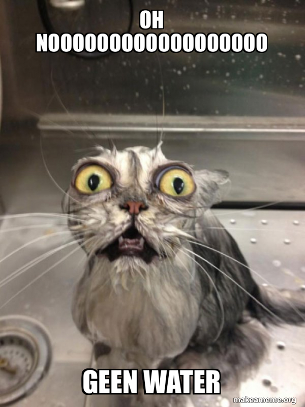 oh noooooooooooooooooo geen water - Cat bath Meme Generator