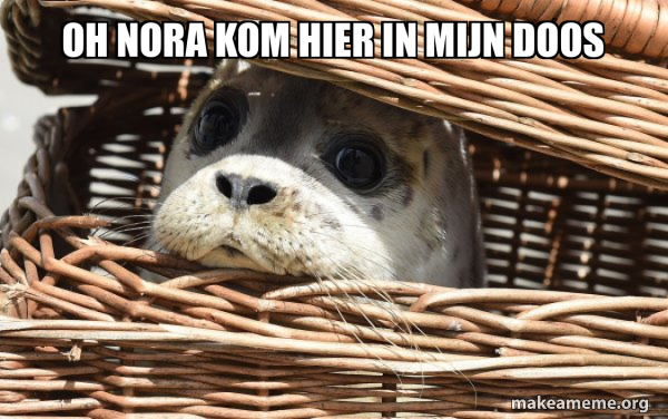 oh nora kom hier in mijn doos - Impending Doom Seal Meme Generator