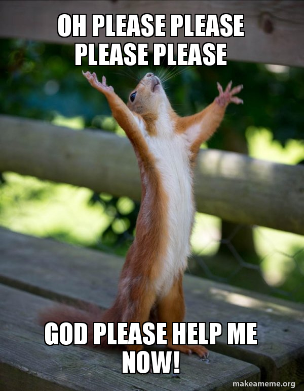 Psh Please Meme Psh Please GIFs | Tenor