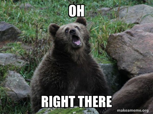 Oh Right there - Sarcastic Bear Meme Generator