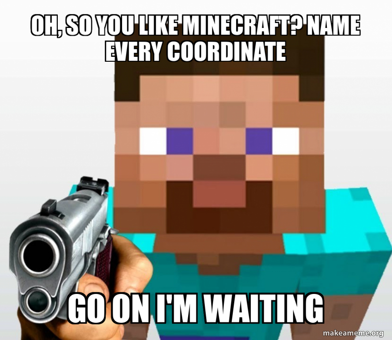 oh, so you like minecraft? name every coordinate go on i'm waiting Meme ...