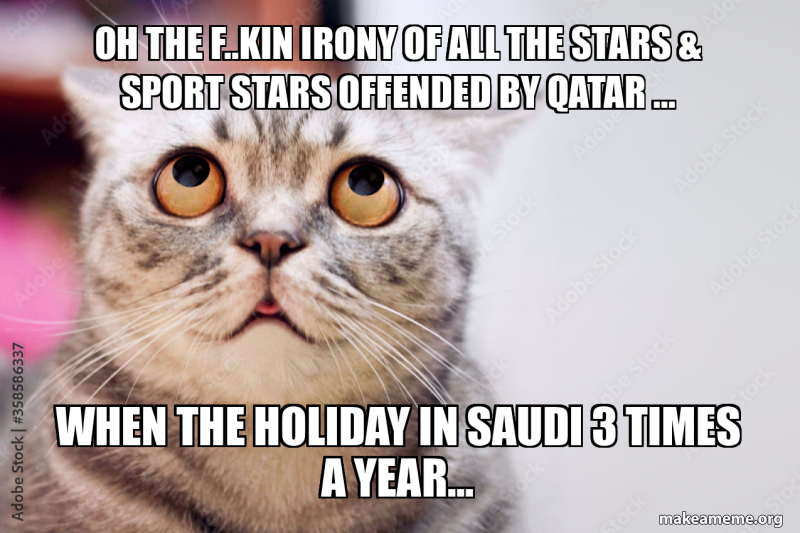 Oh the f..kin irony of all the stars & sport stars offended by qatar ...