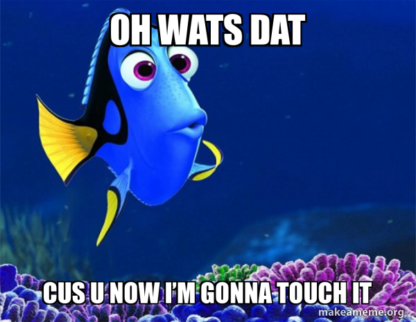 Oh wats dat Cus u now I’m gonna touch it - Dory from Nemo (5 second ...