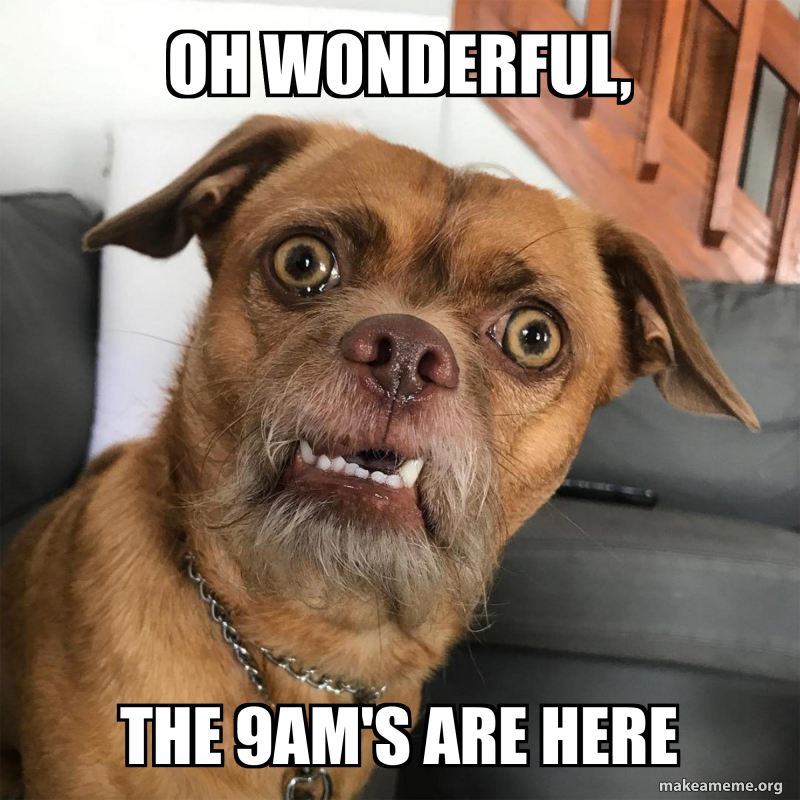 Oh wonderful, The 9AM's are here Meme Generator