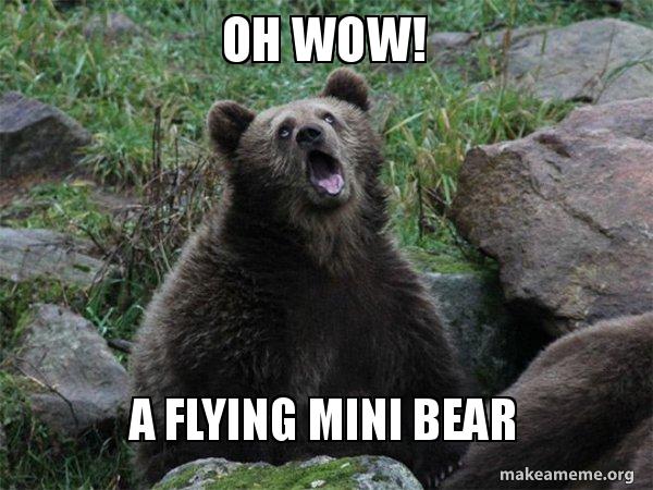 Oh wow! a flying mini bear - Sarcastic Bear Meme Generator