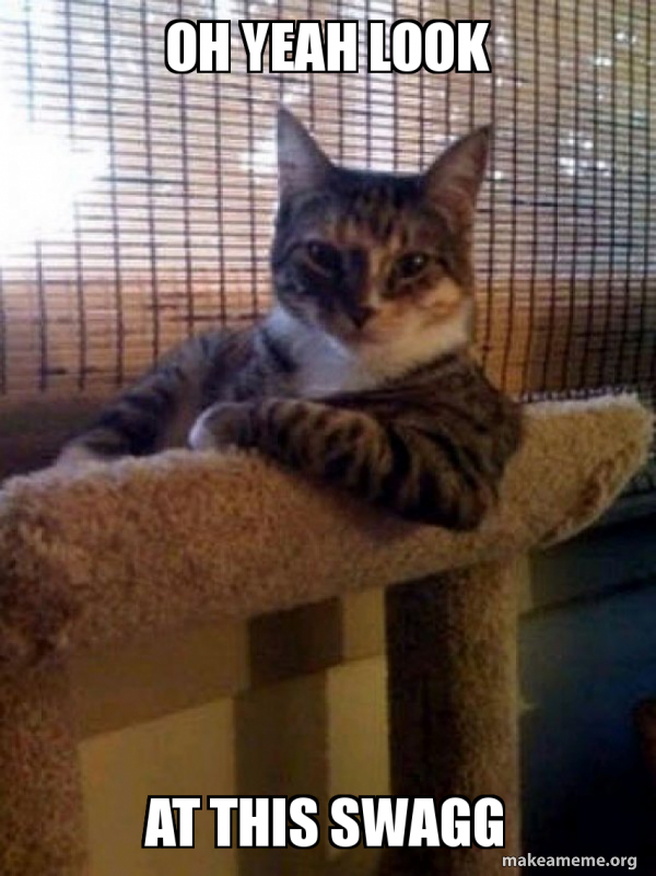 Aww Yeah Cat Memes Oh Yeah, Bummer And All That Lolcats Lol | Cat