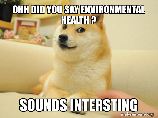 ohh did you say environmental health ? sounds intersting - Doge Meme ...