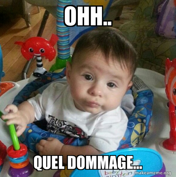 Dommage Memes 2024 January Memes Trapperman Forums