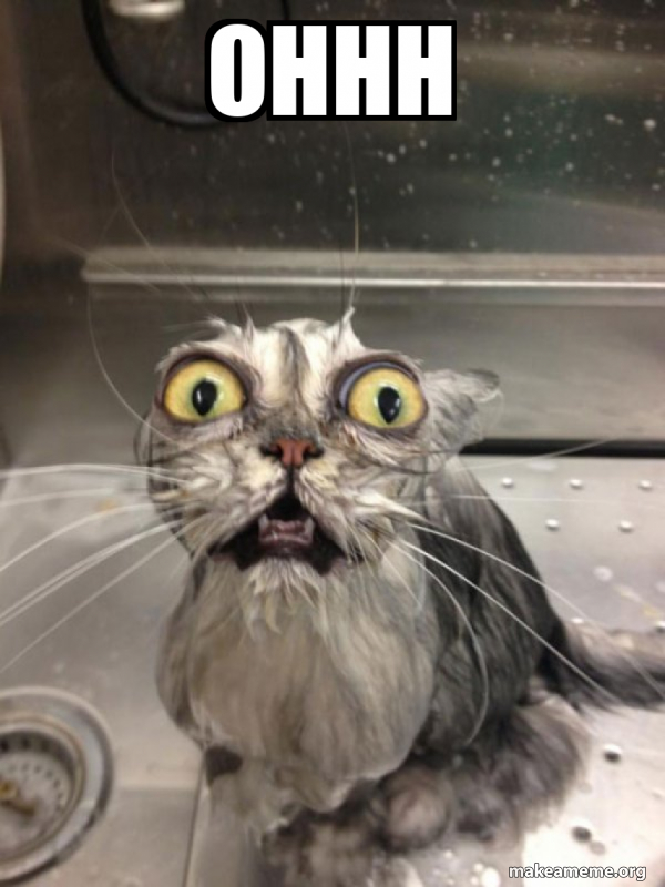 OHHH - Cat bath Meme Generator