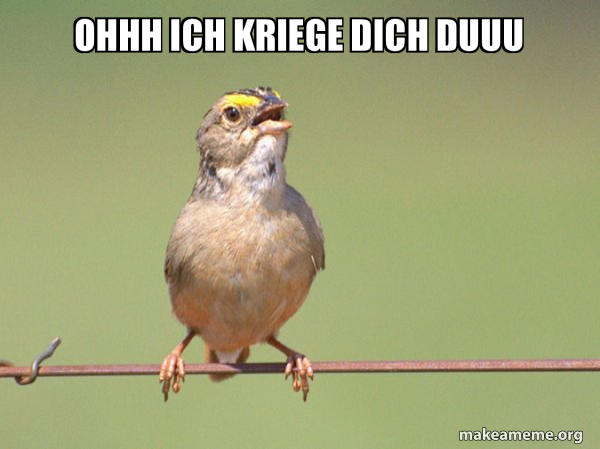 ohhh ich kriege dich duuu - Common Opinion Sparrow Meme Generator