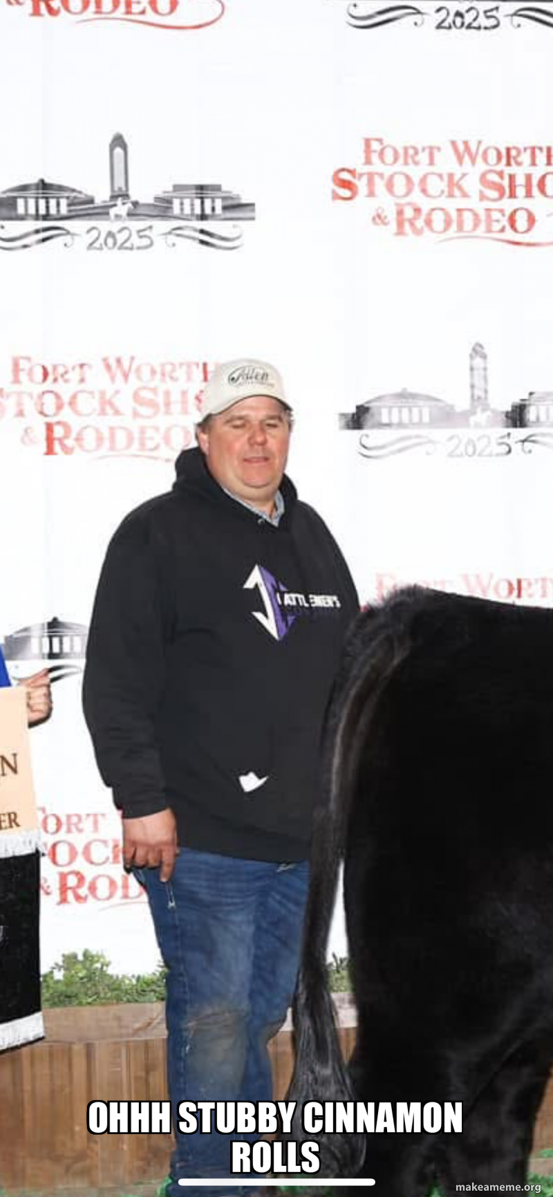 Ohhh stubby cinnamon rolls Meme Generator
