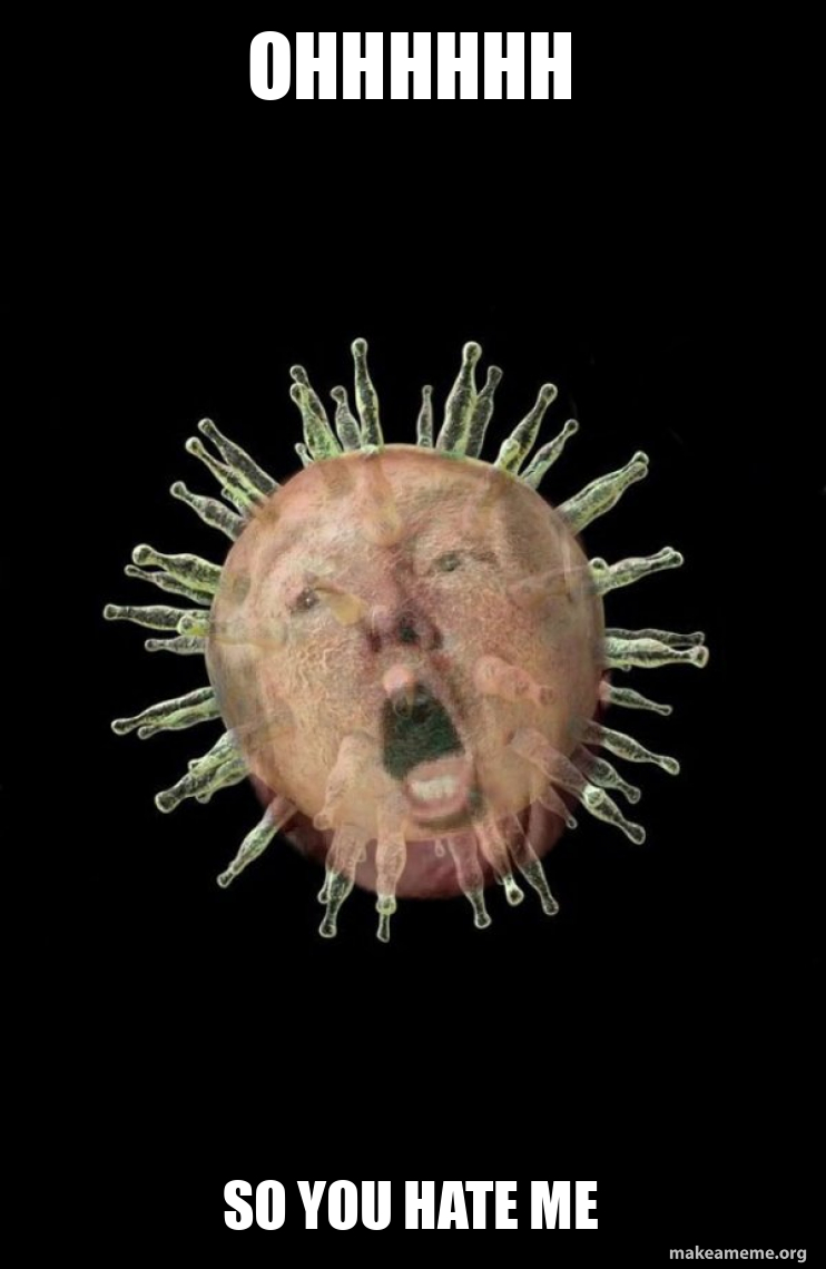 OHHHHHH so you hate me - Trumpvirus TrumpPandemic Meme Generator