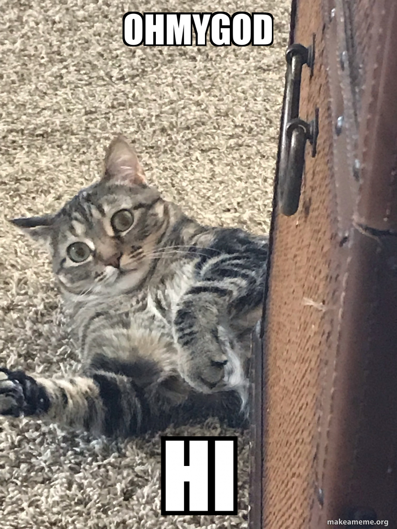 OhmyGod Hi Meme Generator