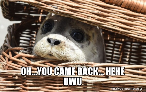 Oh You Meme Dog