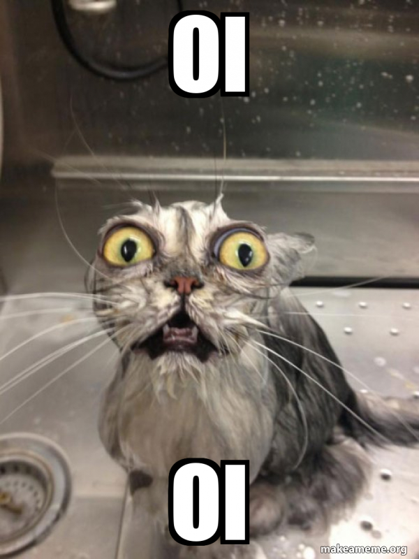 oi oi - Cat bath Meme Generator