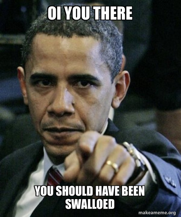 OI YOU THERE YOU SHOULD HAVE BEEN SWALLOED - Angry Obama Meme Generator