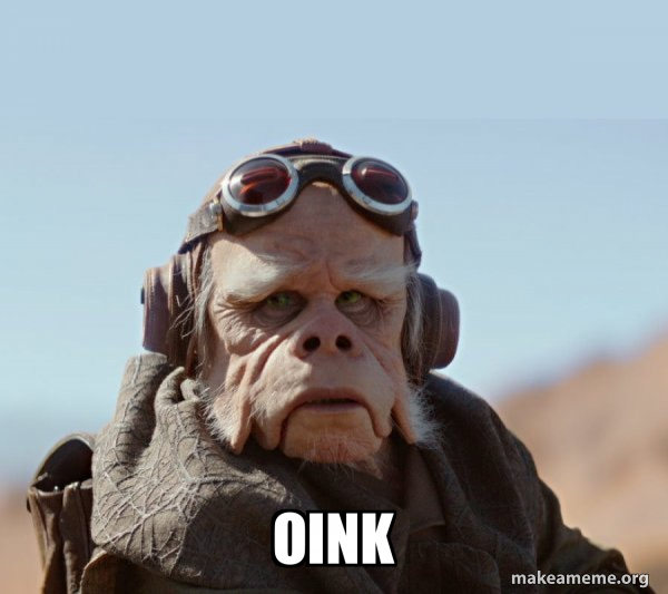 oink - The Mandalorian - I Have Spoken Meme Generator