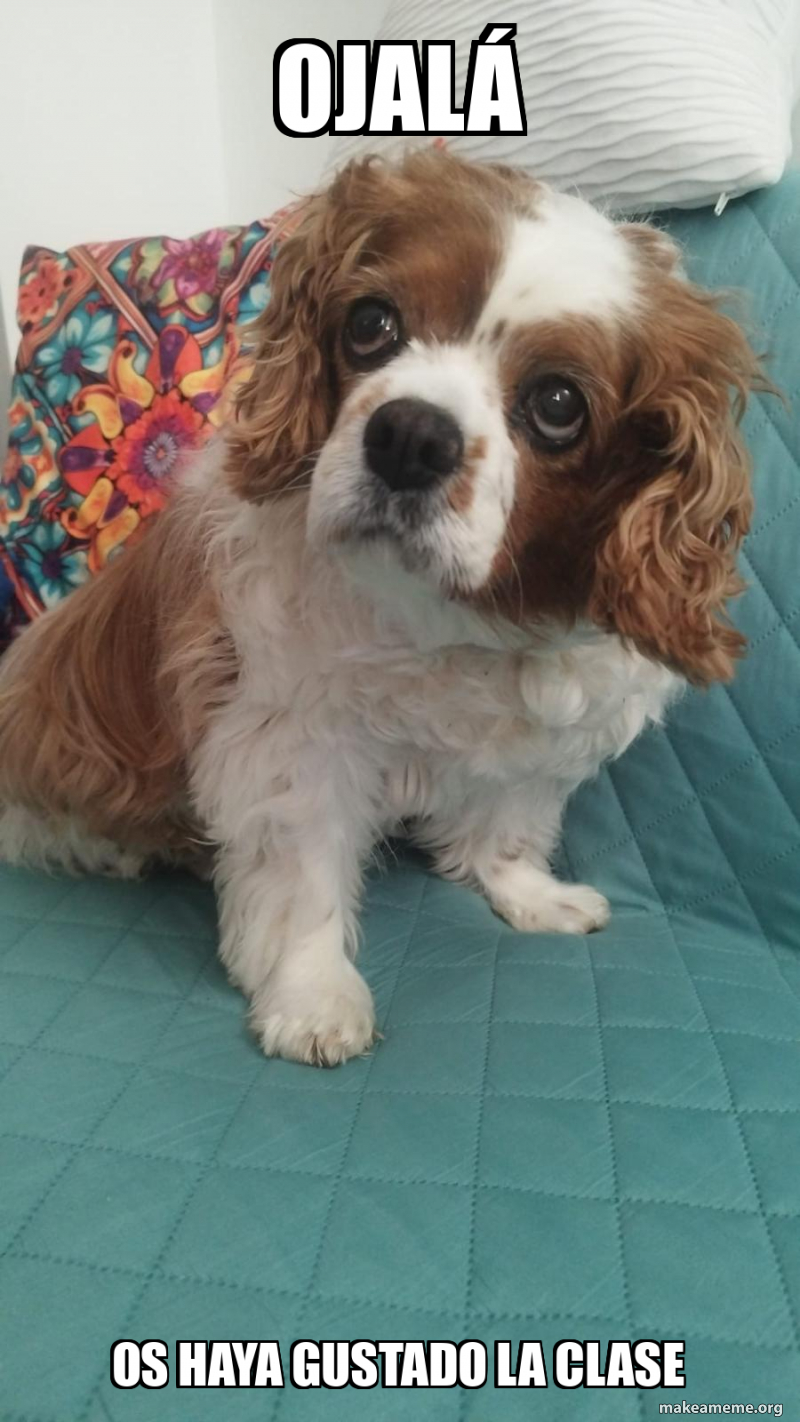 OJALÁ os haya gustado la clase - Oprah Winfrey - You Get a Car Meme ...