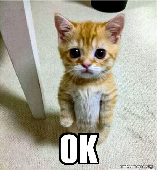 ok - Cute Cat Standing Meme Generator