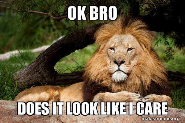 ok bro does it look like i care - Contemplative Lion Meme Generator