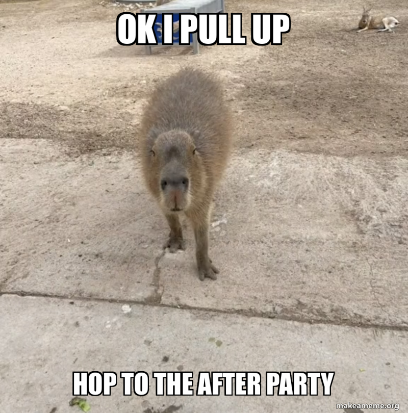 ok i pull up hop to the after party Meme Generator