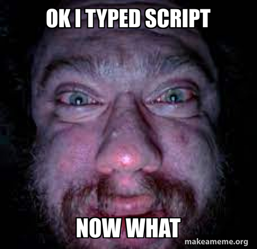 ok I typed script now what - typescript Meme Generator