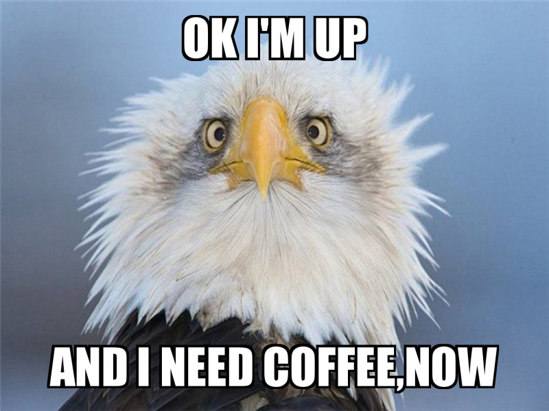 OK I'M UP AND I NEED COFFEE,NOW Meme Generator