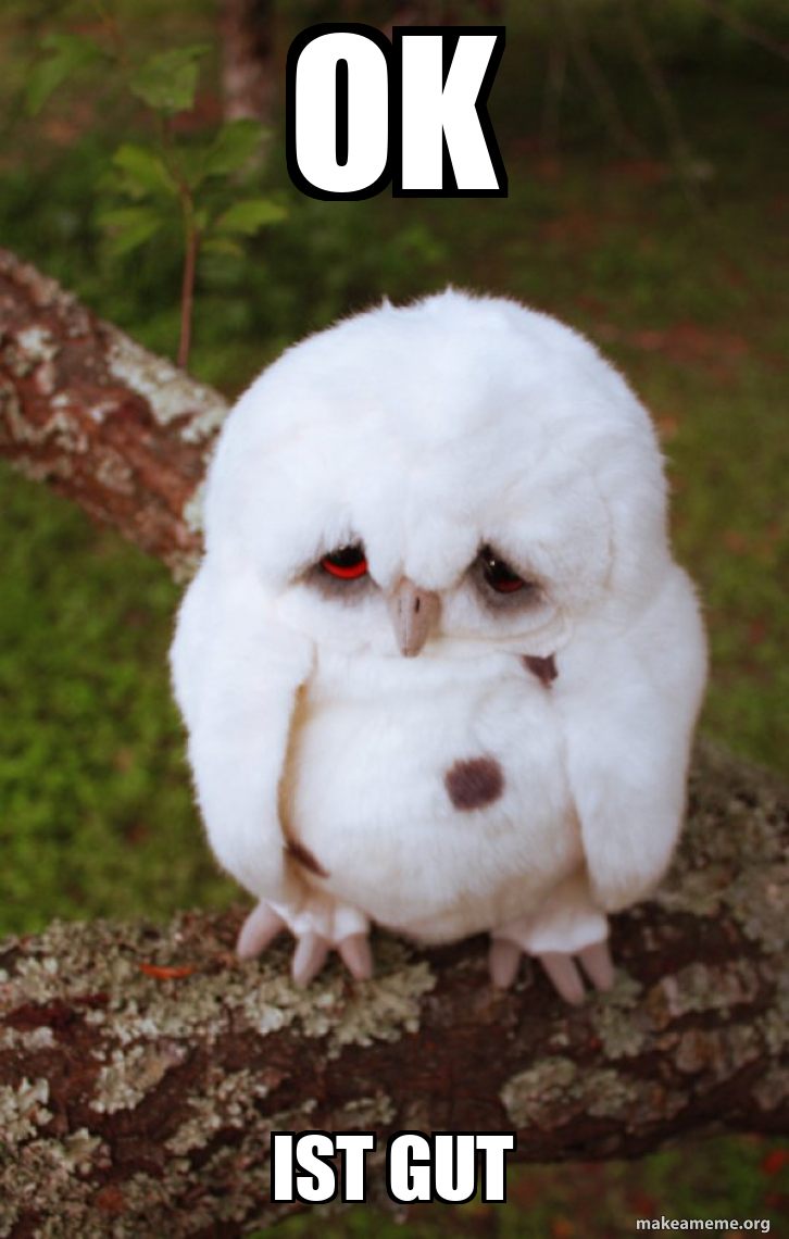 OK ist gut - Sad Owl Meme Generator