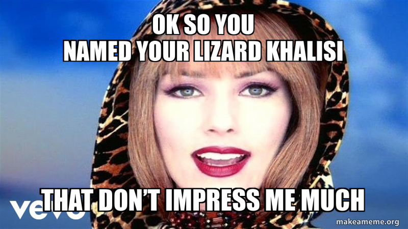 Ok so you Named your lizard khalisi That don’t impress me much Meme ...