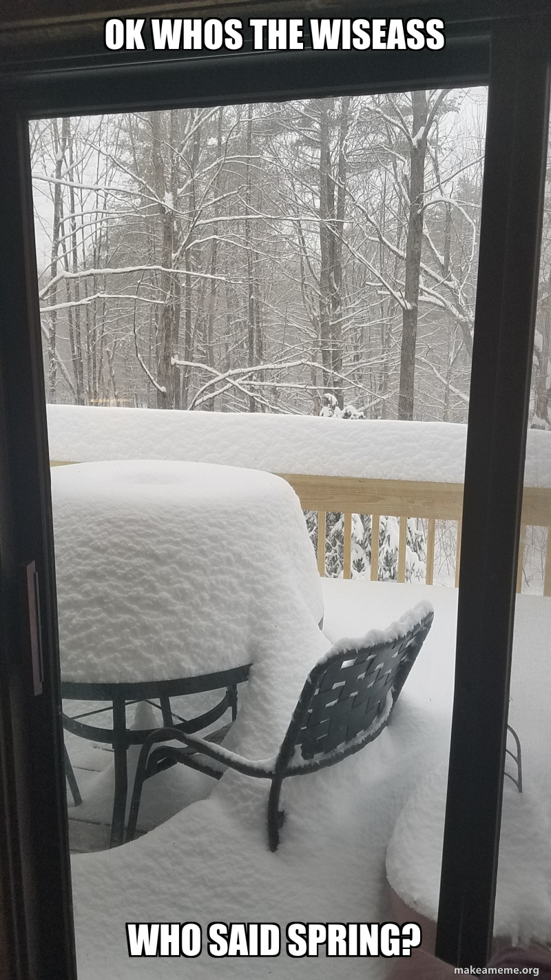 Ok whos the wiseass Who said spring? Meme Generator