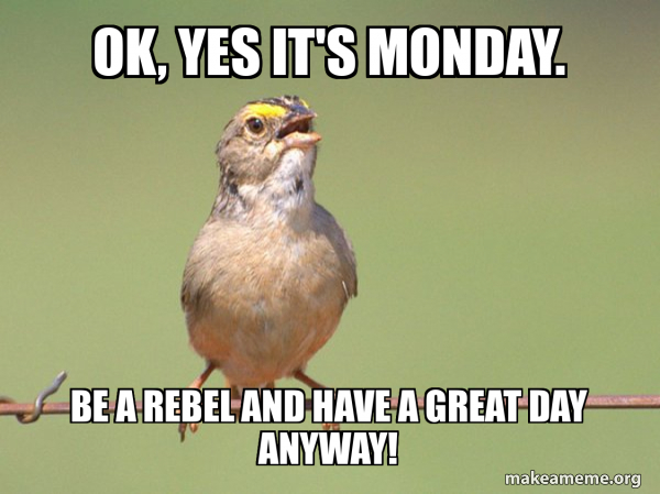 OK, yes it's Monday. Be a rebel and have a great day anyway! - Common ...