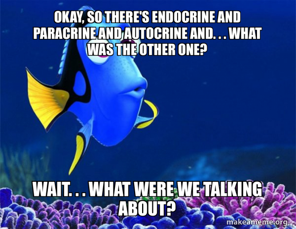 Okay, so there's endocrine and paracrine and autocrine and. . . what ...