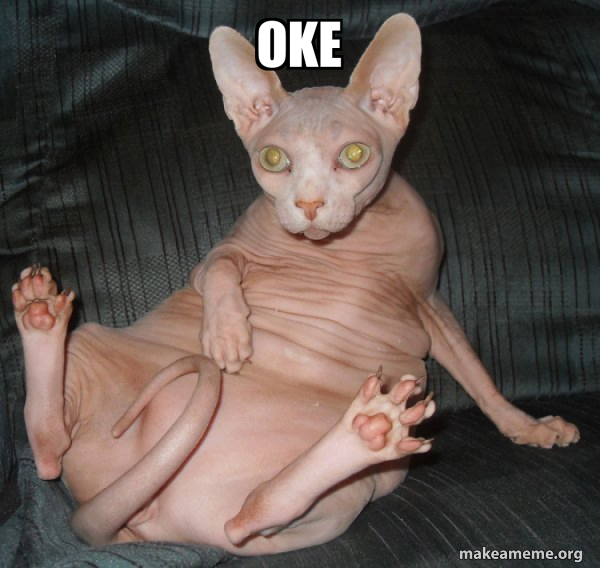 oke - Hairless Cat Meme Generator
