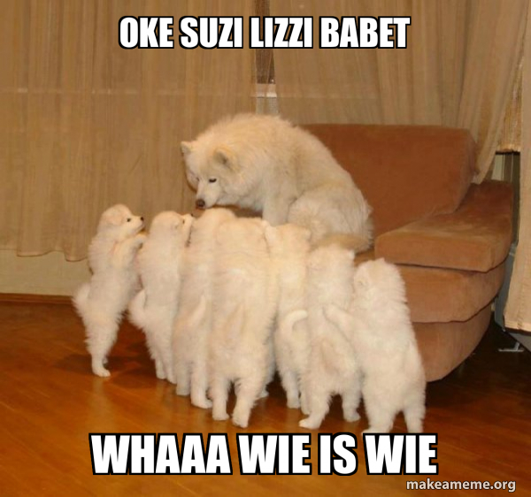 Oke suzi lizzi babet Whaaa wie is wie - Storytelling Dog Meme Generator