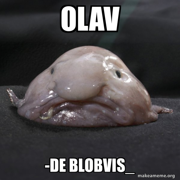 OLAV -DE BLOBVIS_ - Blobfish Meme Generator
