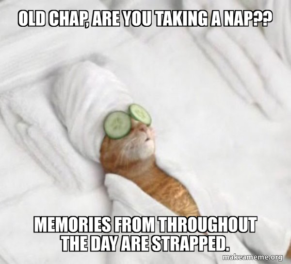Old chap, are you taking a nap?? Memories from throughout the day are ...