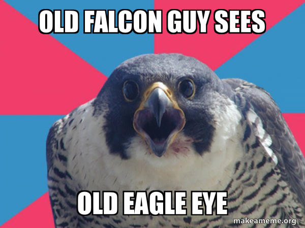 old falcon guy sees OLD EAGLE EYE - Millennial Falcon Meme Generator