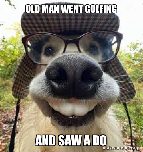 Old man went golfing And saw a do Meme Generator