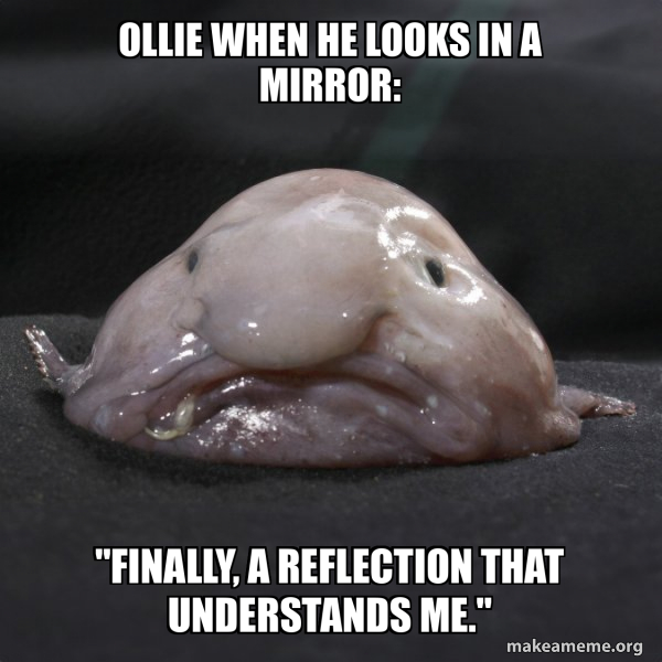 Ollie when he looks in a mirror: "Finally, a reflection that ...