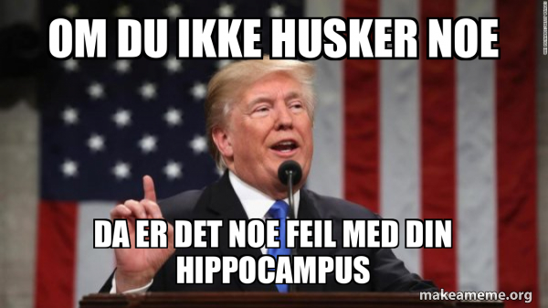 Om du ikke husker noe Da er det noe feil med din hippocampus - Donald ...