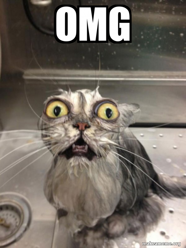 omg - Cat bath Meme Generator