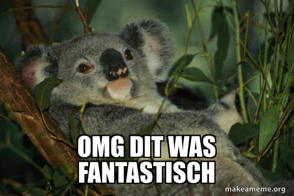 omg dit was fantastisch - Laid Back Koala Meme Generator