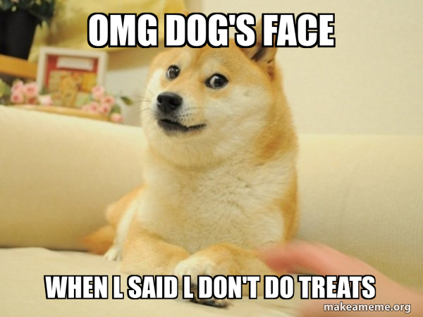 OMG Dog's face when l said l don't do treats - Doge Meme Generator